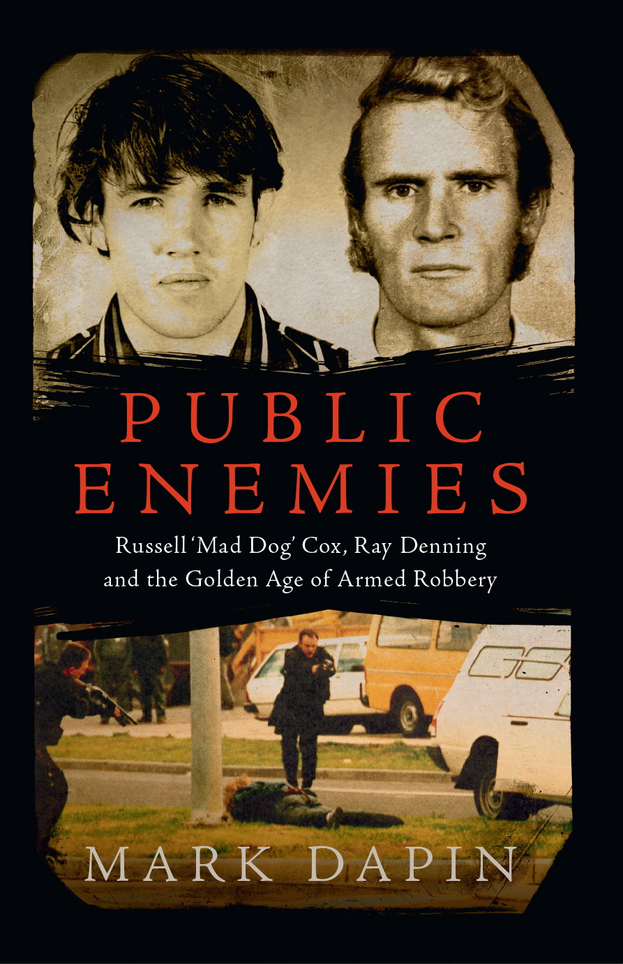 Public Enemies